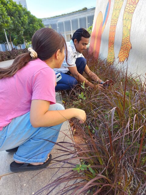 BSc in Environmental Science and Sustainability - Azim Premji University