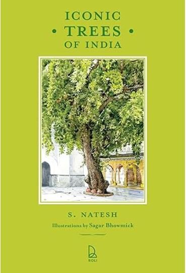 The Largest Tree on Earth And Other Iconic Trees of India - Azim Premji ...