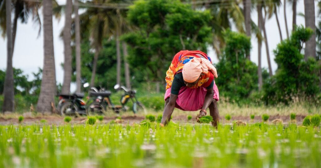 Envisioning a National System of Land Restoration (Part I) - Azim ...