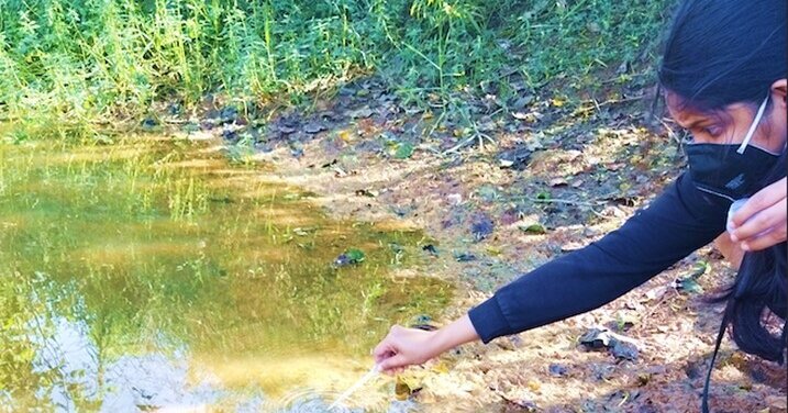 The Worm That Cannot Be Named: Pond Today, Gone Tomorrow (Part-II ...