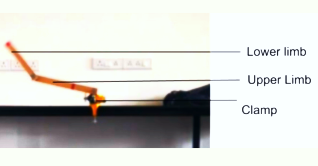 Double Pendulum: Chaos in the Physics Lab! - Azim Premji University