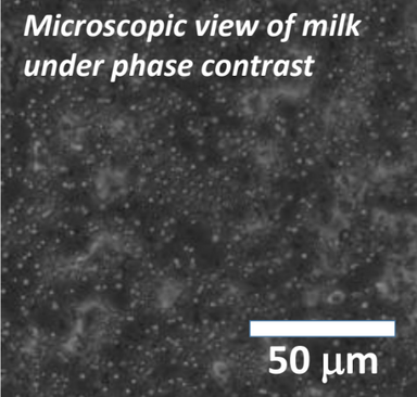 Know five reasons why physicists like microscopes - Azim Premji University