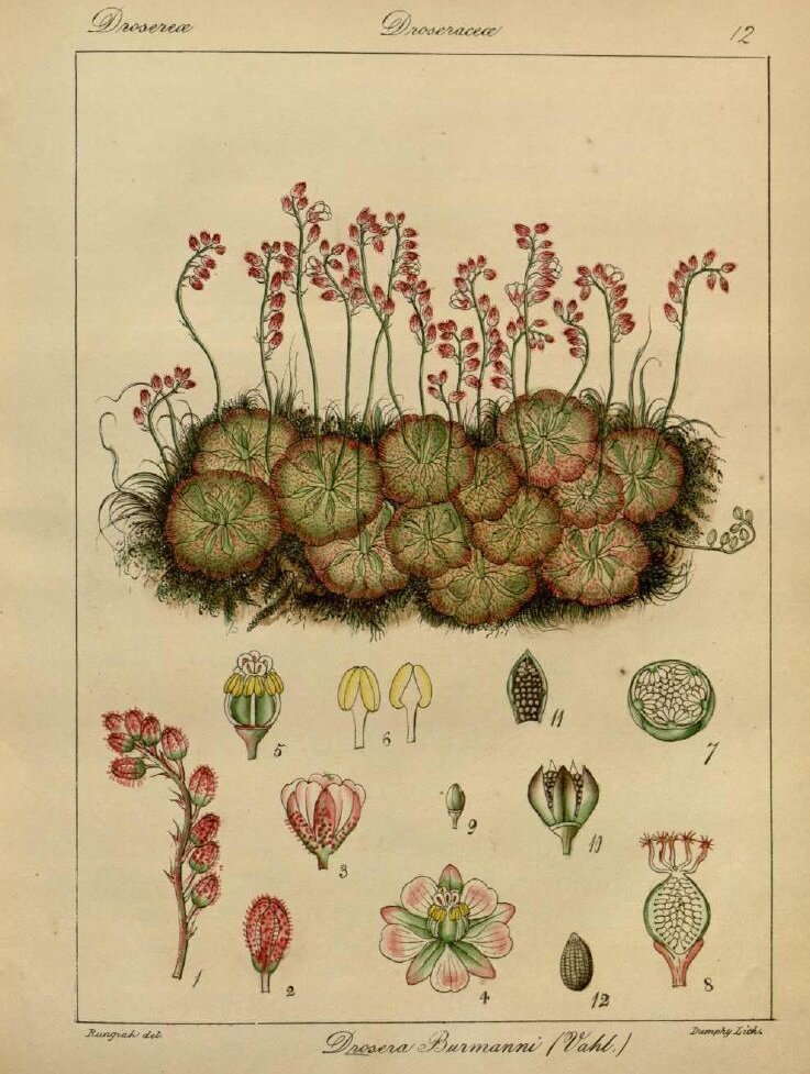 How incorporating art into biology can enhance student learning - Azim ...