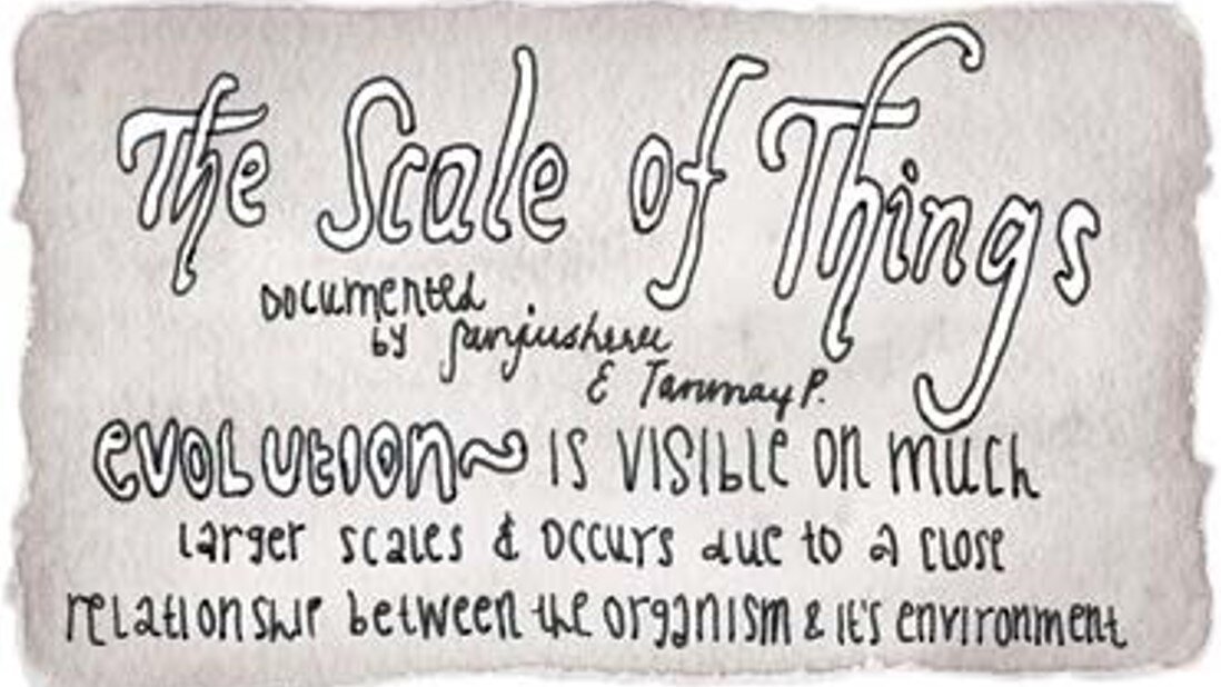 How incorporating art into biology can enhance student learning - Azim ...