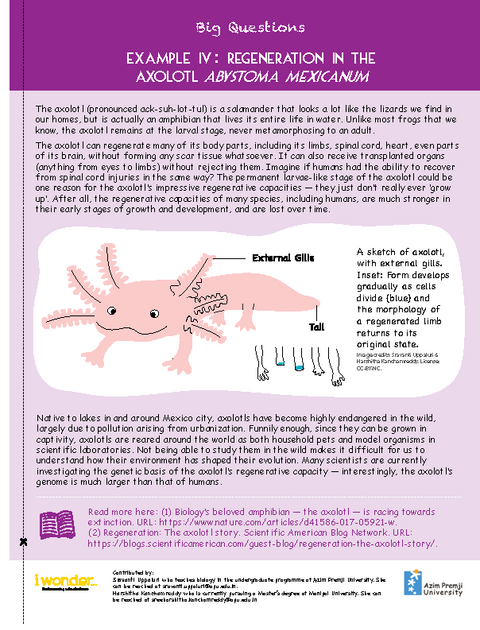 Science Education: Why do some organisms regenerate, while others don’t ...